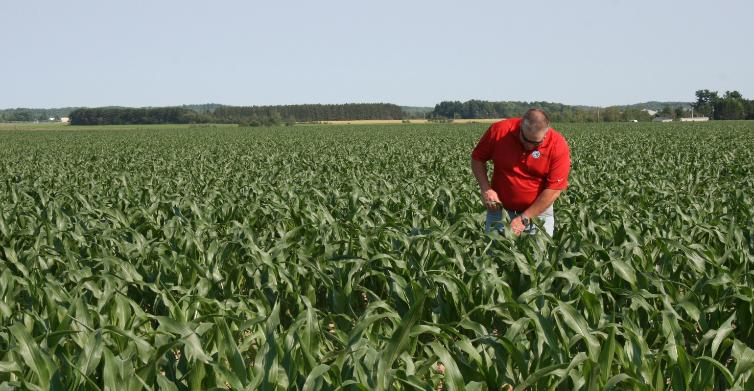 Get the most from plant tissue sampling