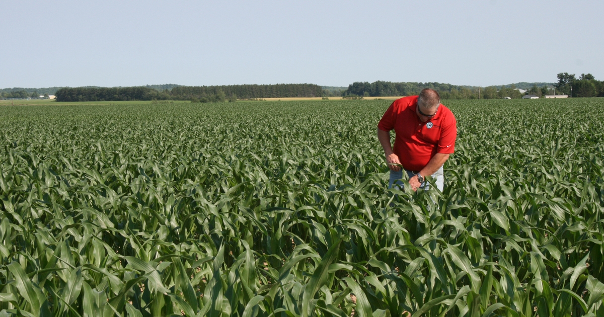 Get the most from plant tissue sampling