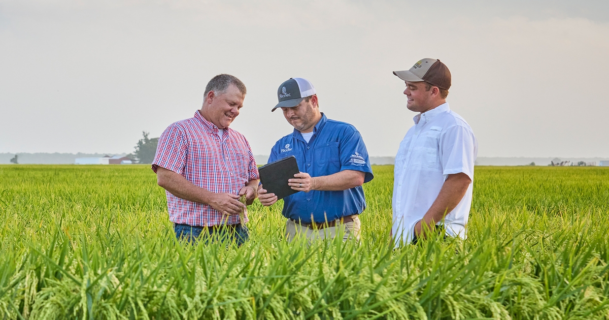 RiceTec stays committed to innovation