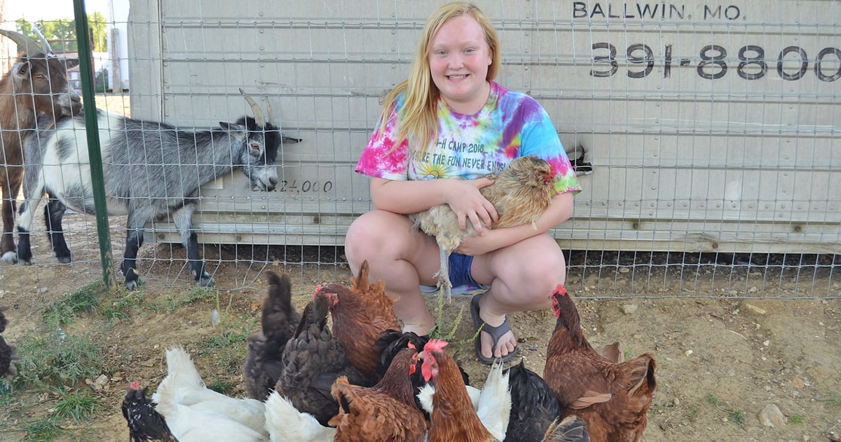 4-H’er makes tending animals top priority