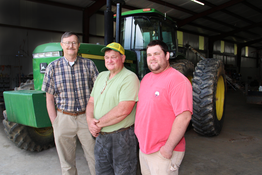 The Collins brothers: lure of the land drew them home