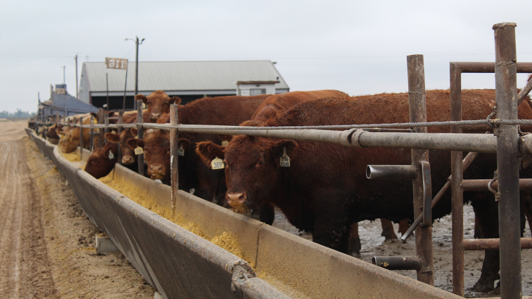 Farm Futures - Agriculture marketing and business information