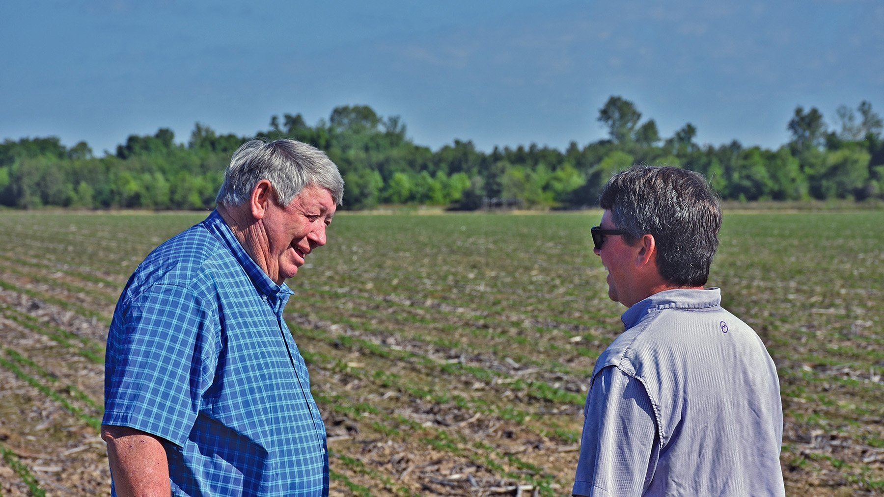 Drew and Milton Parrish: 2024 Peanut Efficiency Award winners from the ...