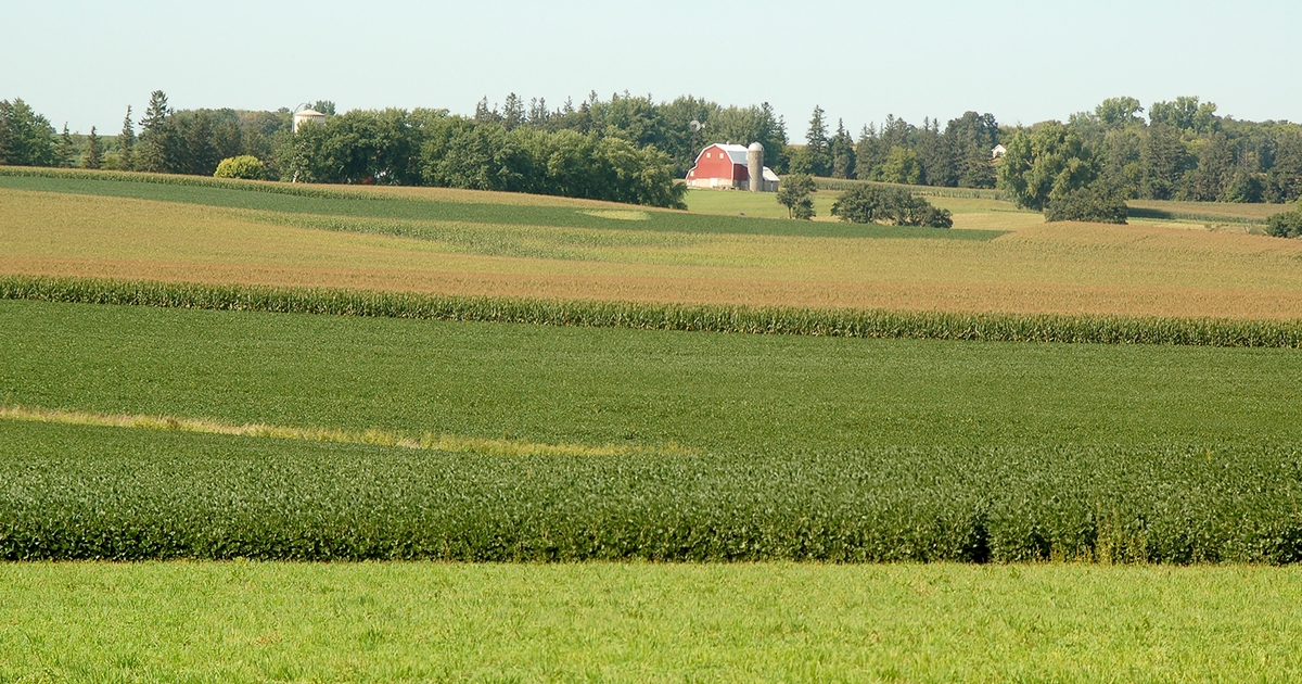 Farmland values appear steady in 2020
