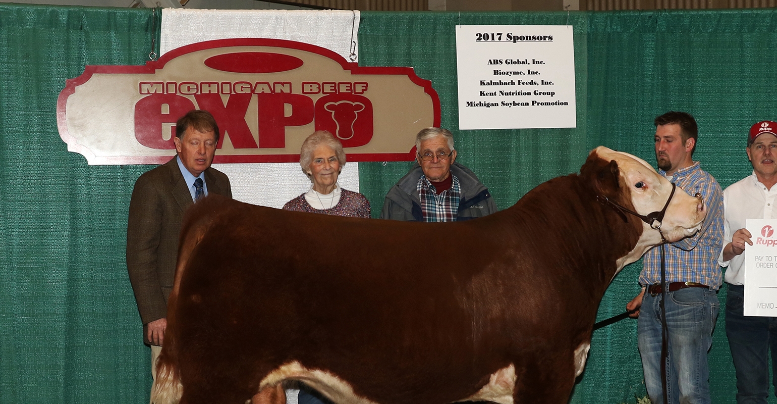 Champion Angus bull sells for $7,000