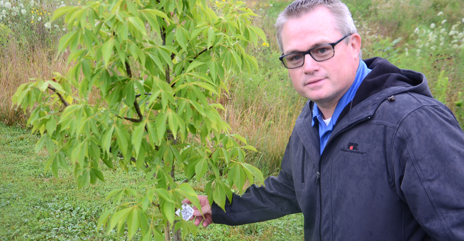 QR code allows park visitors to identify trees