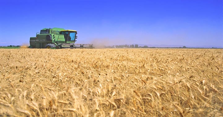 How will the world double crop production by 2050? | Farm Progress