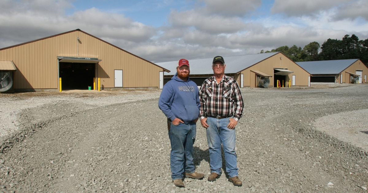 Pullet barns bring more revenue for Nebraska grower