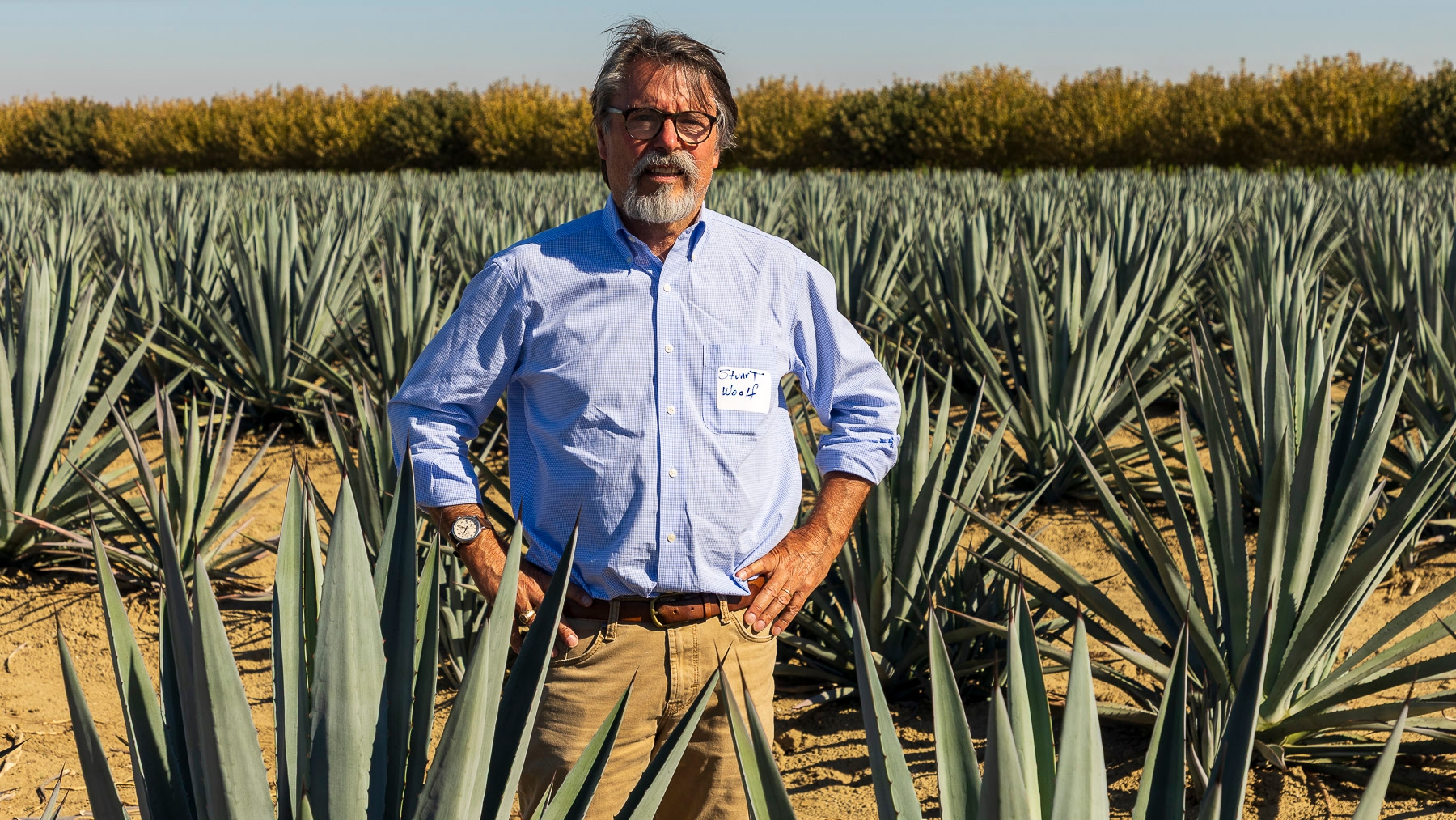 Farmer grows agave to beat drought challenges