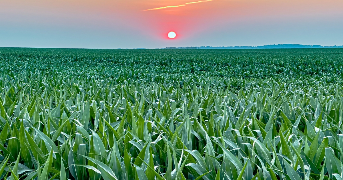 Iowa farmland sets state record with $32,000-per-acre sale