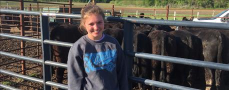Farm girl breeds her own beef cattle