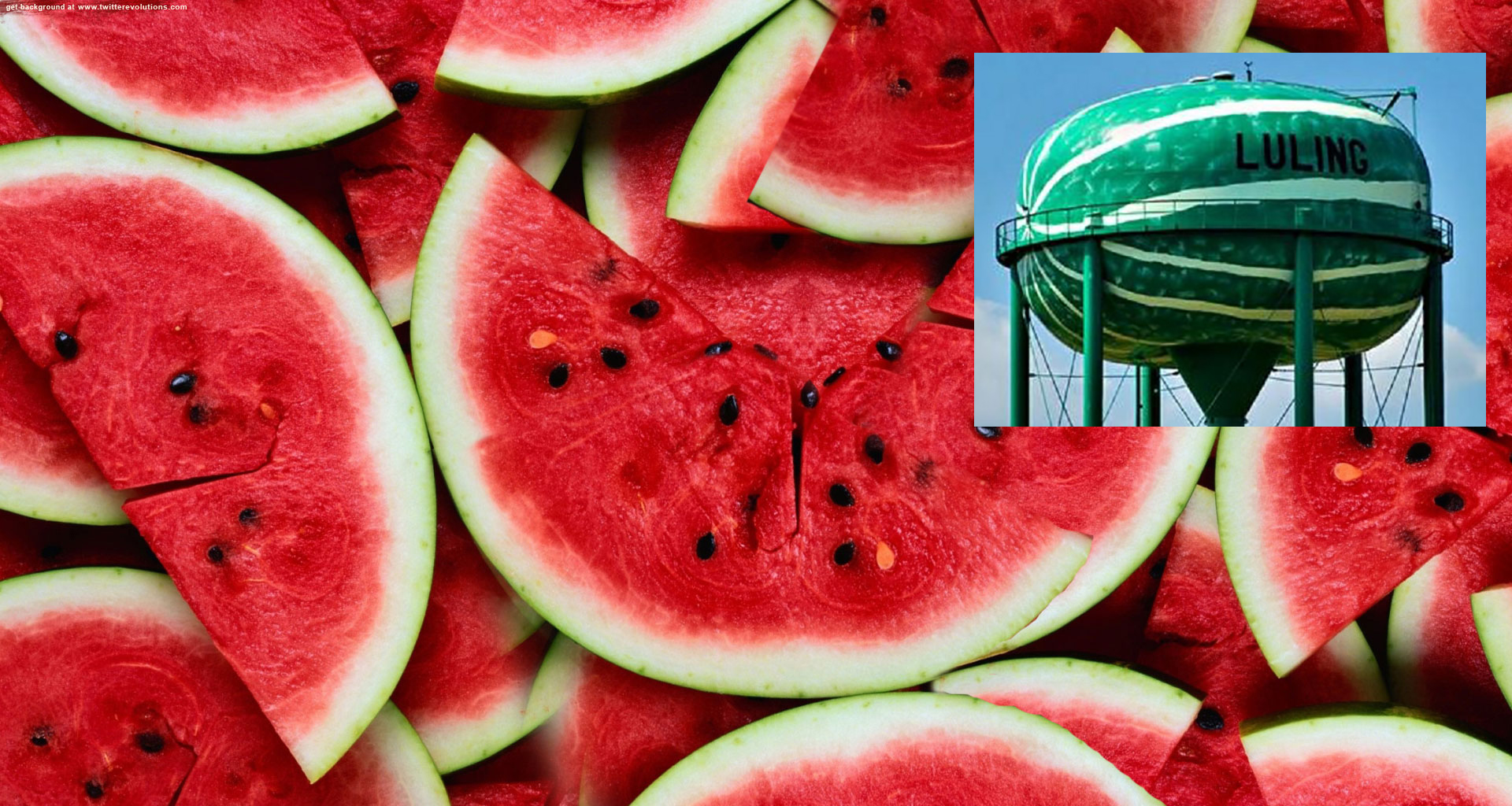 Texas leading vegetable crop ripe and ready for the table