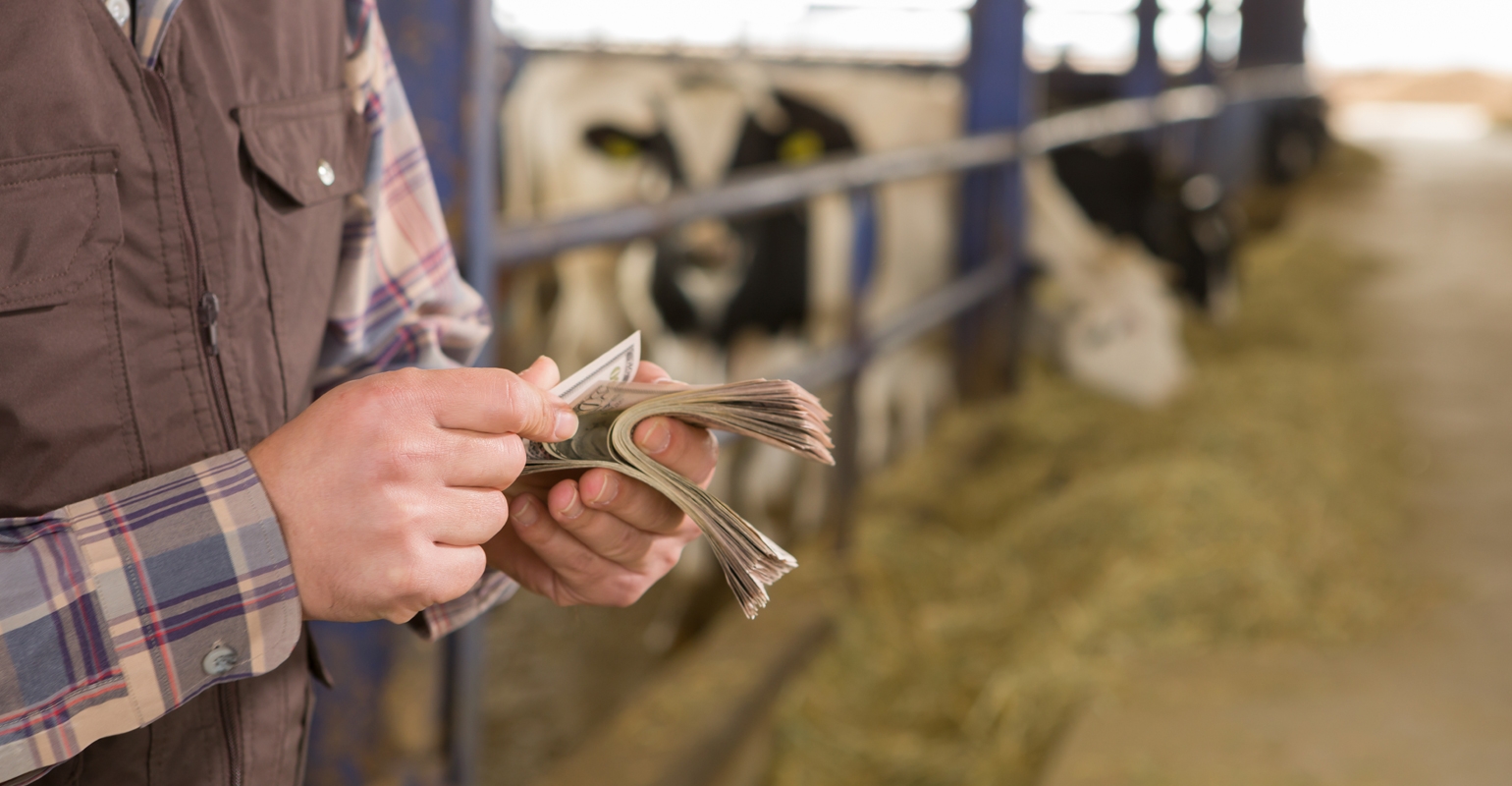 5 financial ratios to consider on your farm