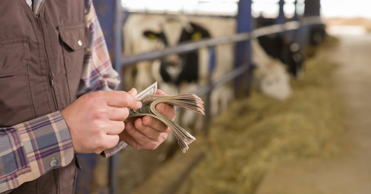 5 financial ratios to consider on your farm