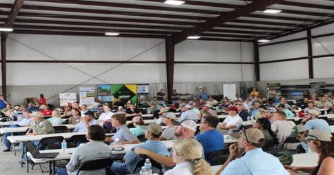 Natural infiltration helps water quality in rice