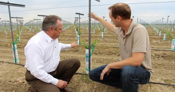 Gallery: J&J Farms changing amid drought, less water | Farm Progress