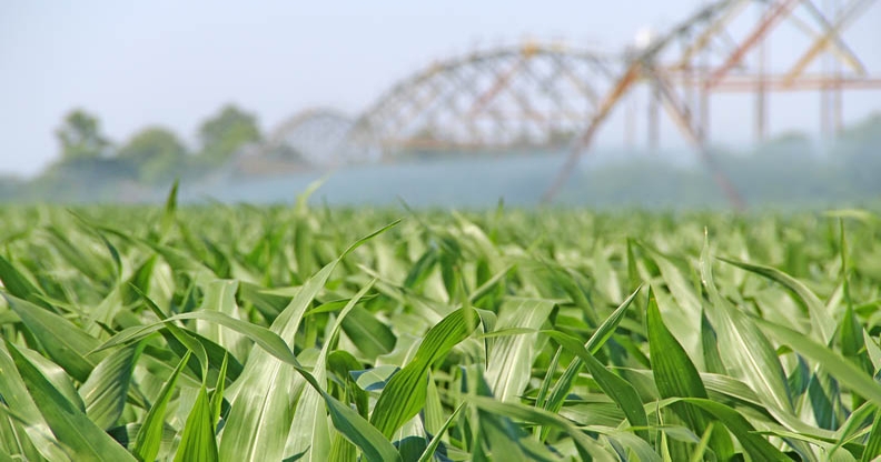 Top 10 keys to high corn yields | Farm Progress
