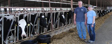 Don't miss 'Sundae' on a Dairy Farm