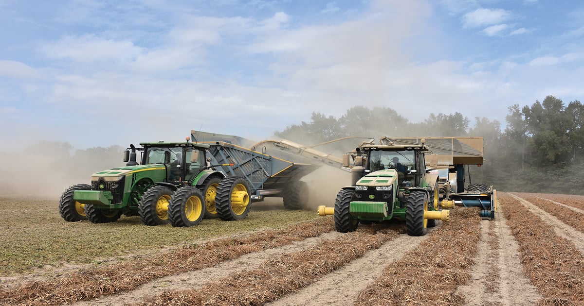 South Mississippi peanuts weather the storm
