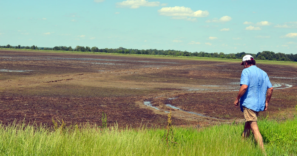 Making a way: Two Brooks Rice Farm seeks to align itself with nature