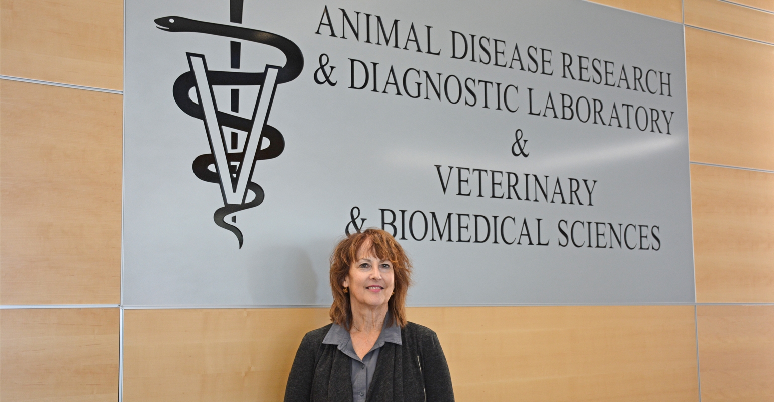 Science behind veterinary medicine drives retired lab director