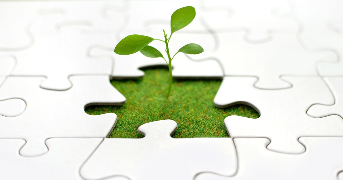 Coverage is key piece to weed puzzle