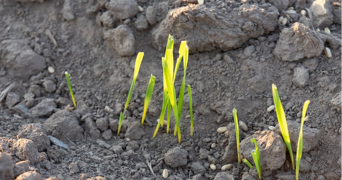 Benchmarking: How does your farm compare?