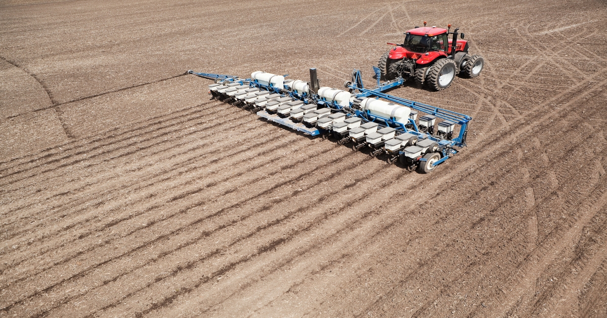 Late corn-planting best management practices
