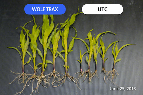 Wolf Trax Delivers New Way To Apply P