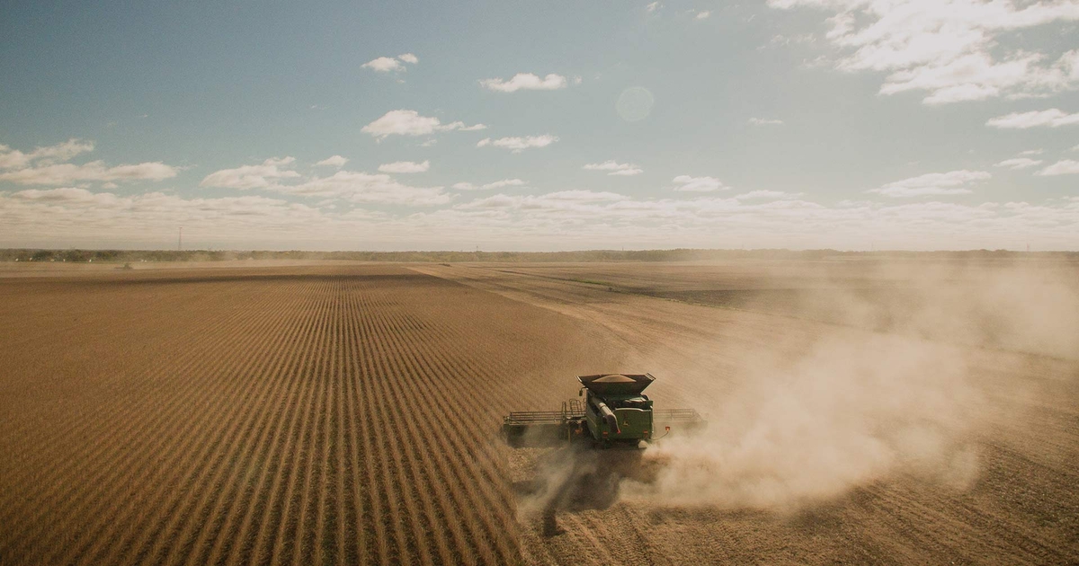 3 steps to save on crop protection next year