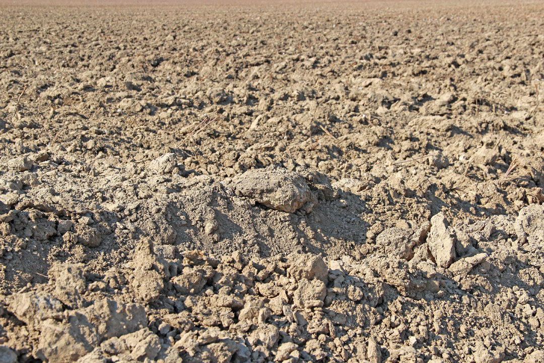 California facing loss of 570,000 farmland acres by 2050 | Farm Progress