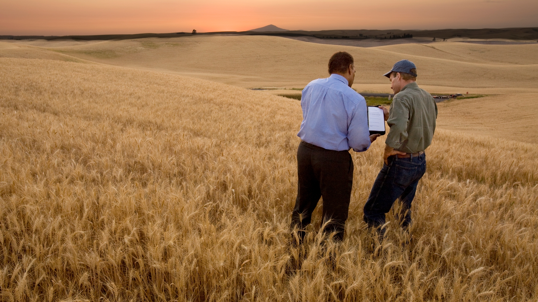 Agriculture futures market 101