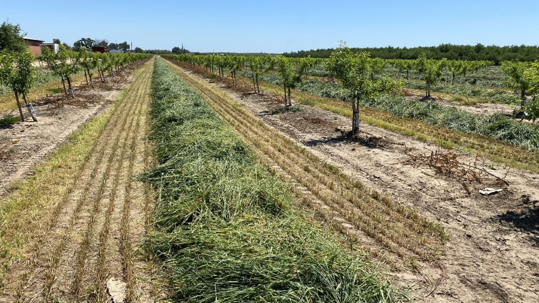 Orchard Crops recent news | Farm Progress