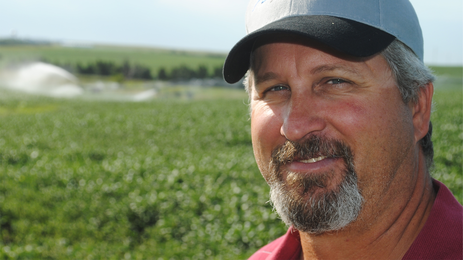 Importance of selecting the right soybean seed treatments