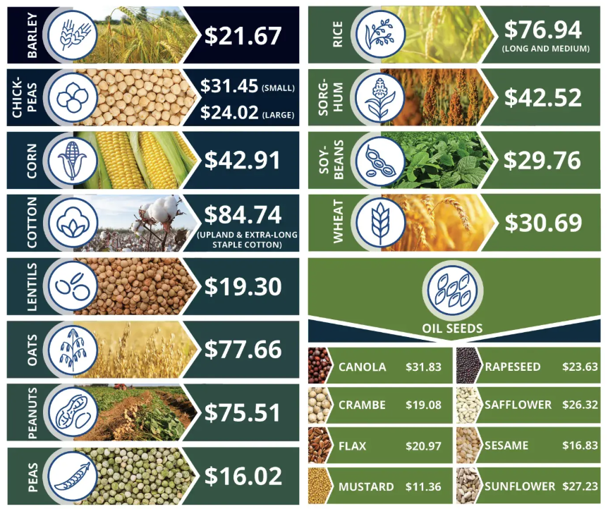 Farmers: How to claim your share of $10 billion USDA relief fund