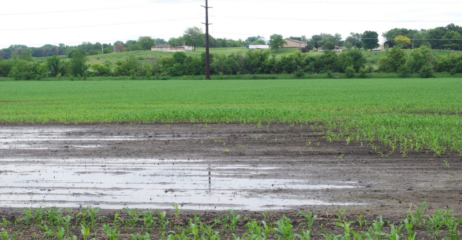 Iowa farmers nearly finished planting 2019 corn