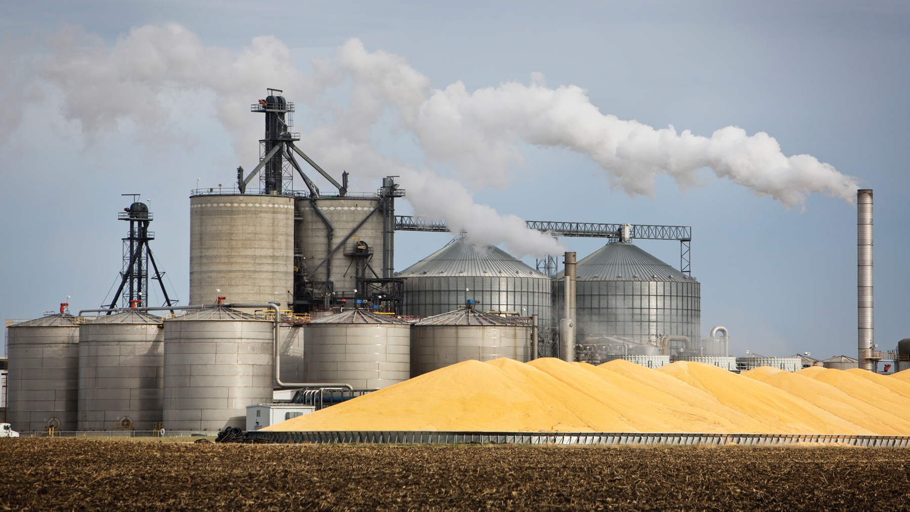 Farmers can prepare for 45Z Clean Fuel Credit - Governors' Biofuels ...