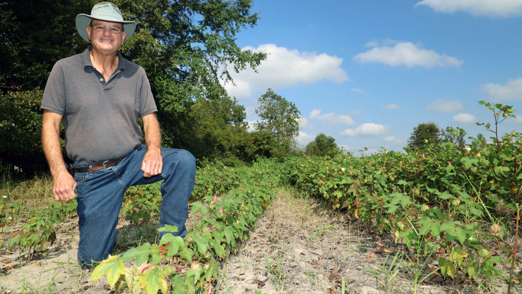 Farmers benefit from deer depredation permits, traditional hunting