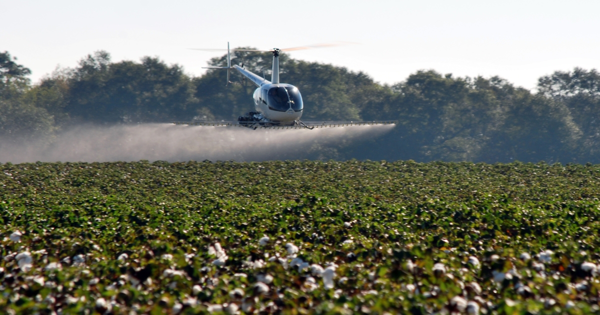 Tackling cotton defoliation with thidiazuron in limited supply