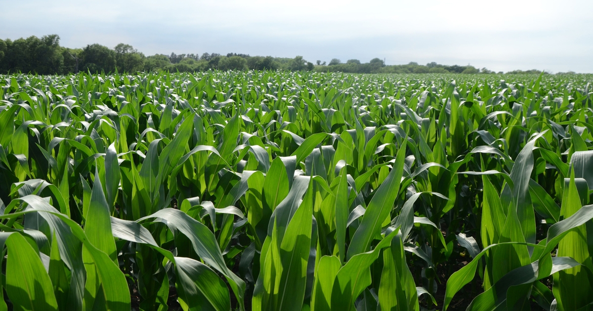 Takeaways from 2017 tissue tests