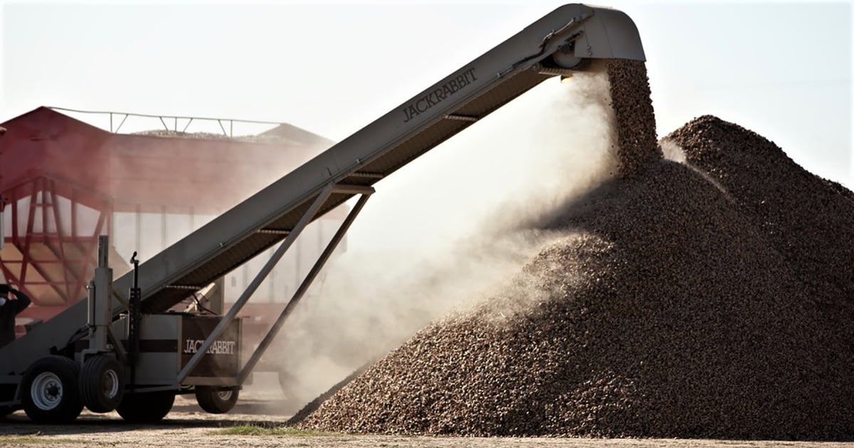 Is California’s nut boom now a glut?