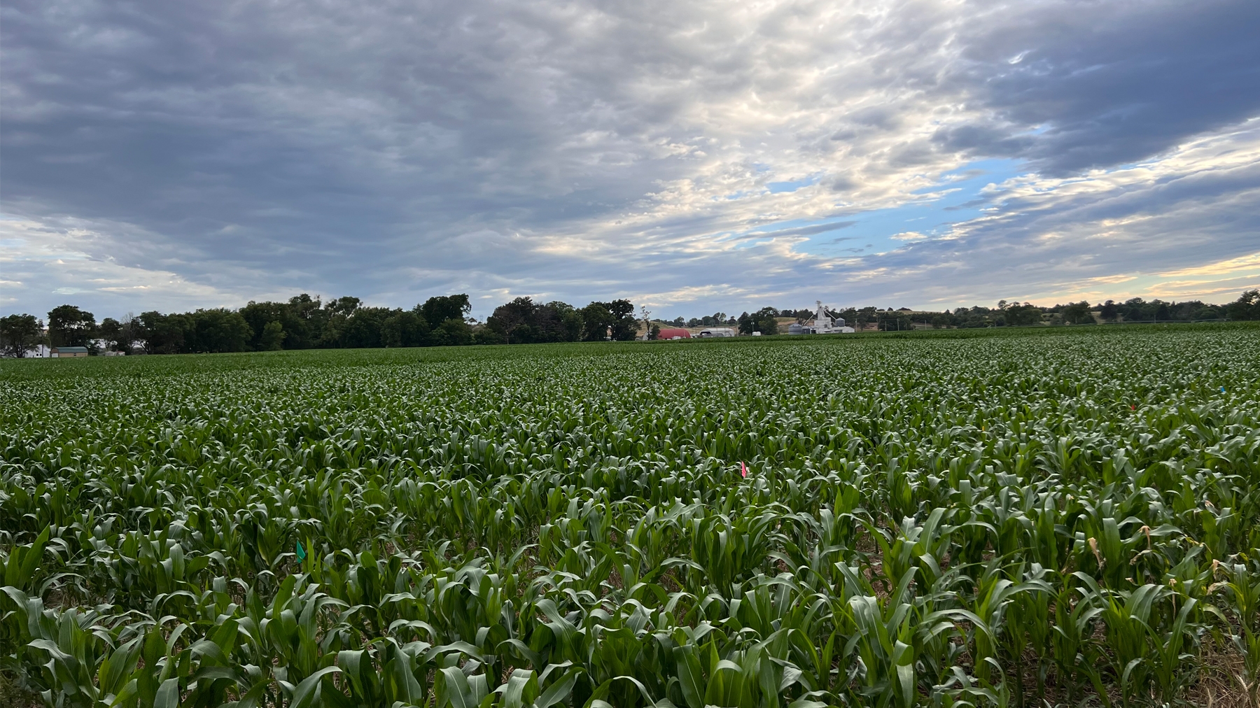 Nebraska Farmer