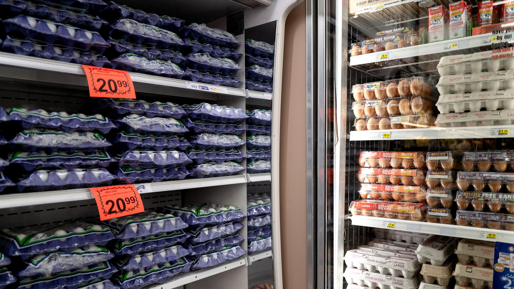 Egg inflation remains stubborn on bird flu and tariff risks