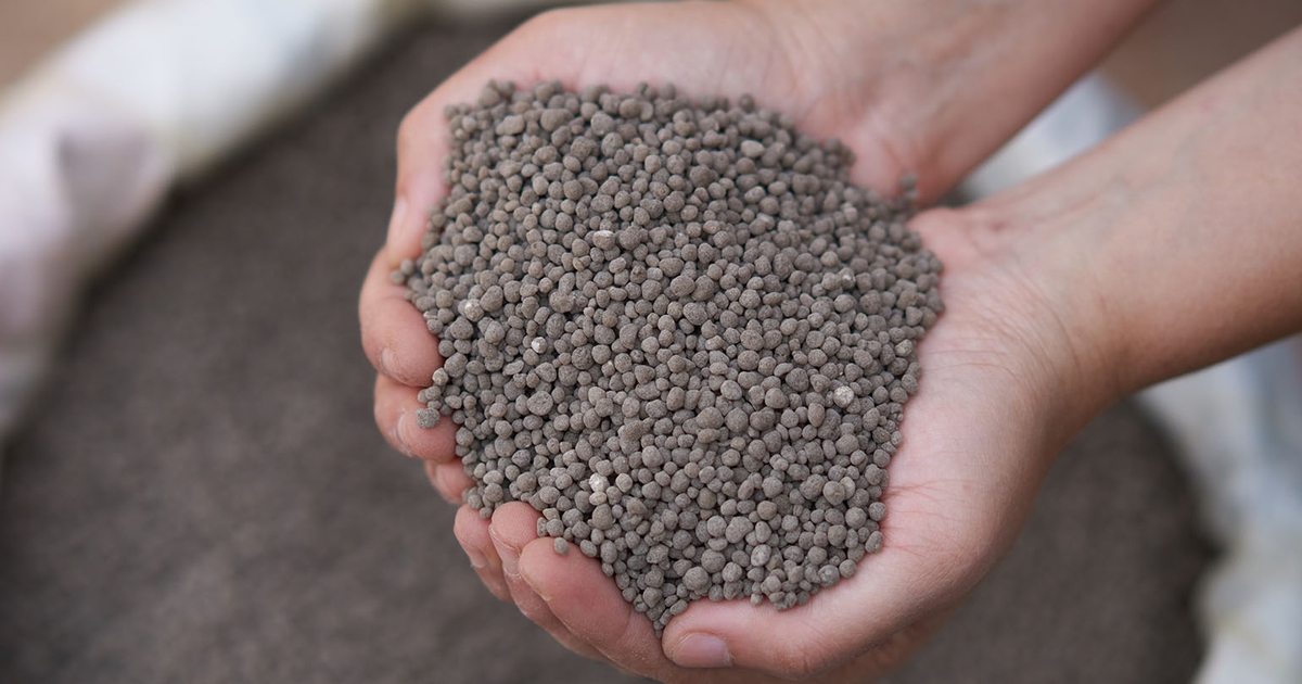 New fertilizer keeps phosphorus available when your plants need it