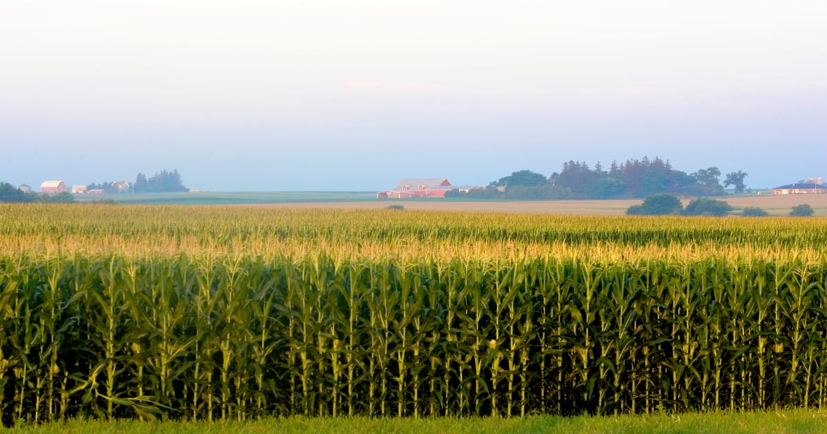 Midwest crop progress: Continue scouting efforts | Farm Progress