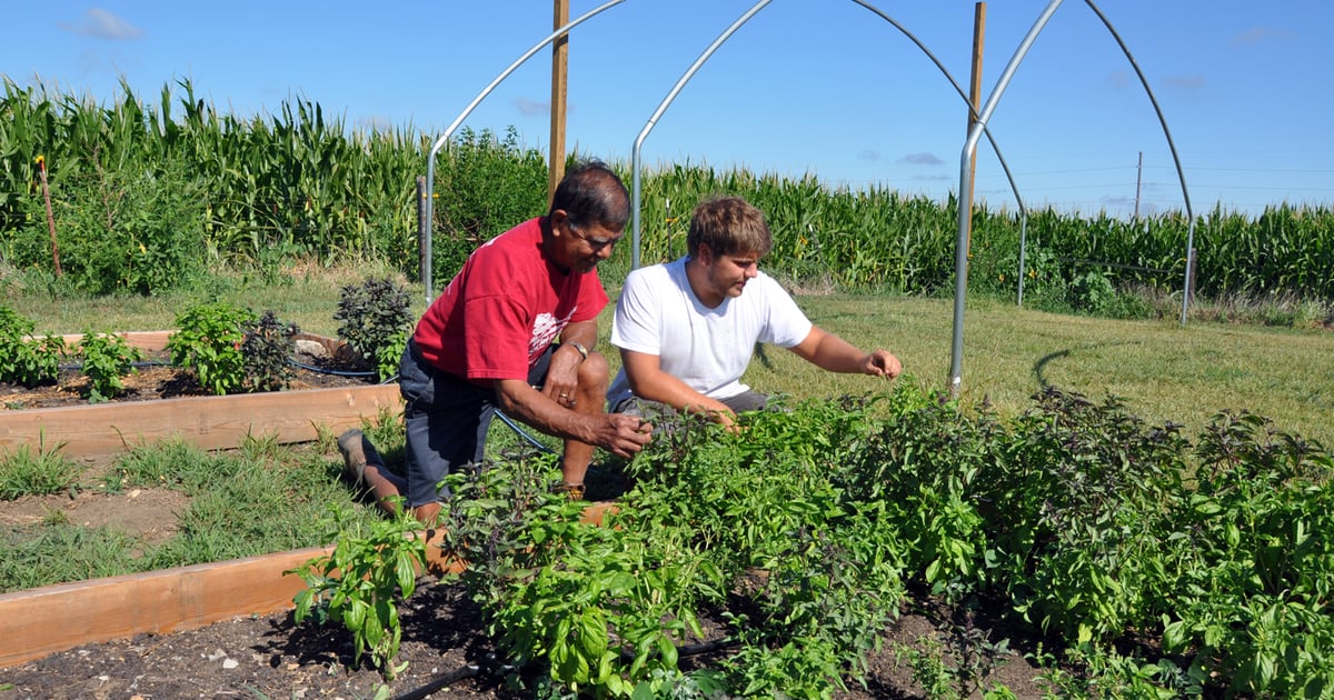 Grants available to promote specialty crops