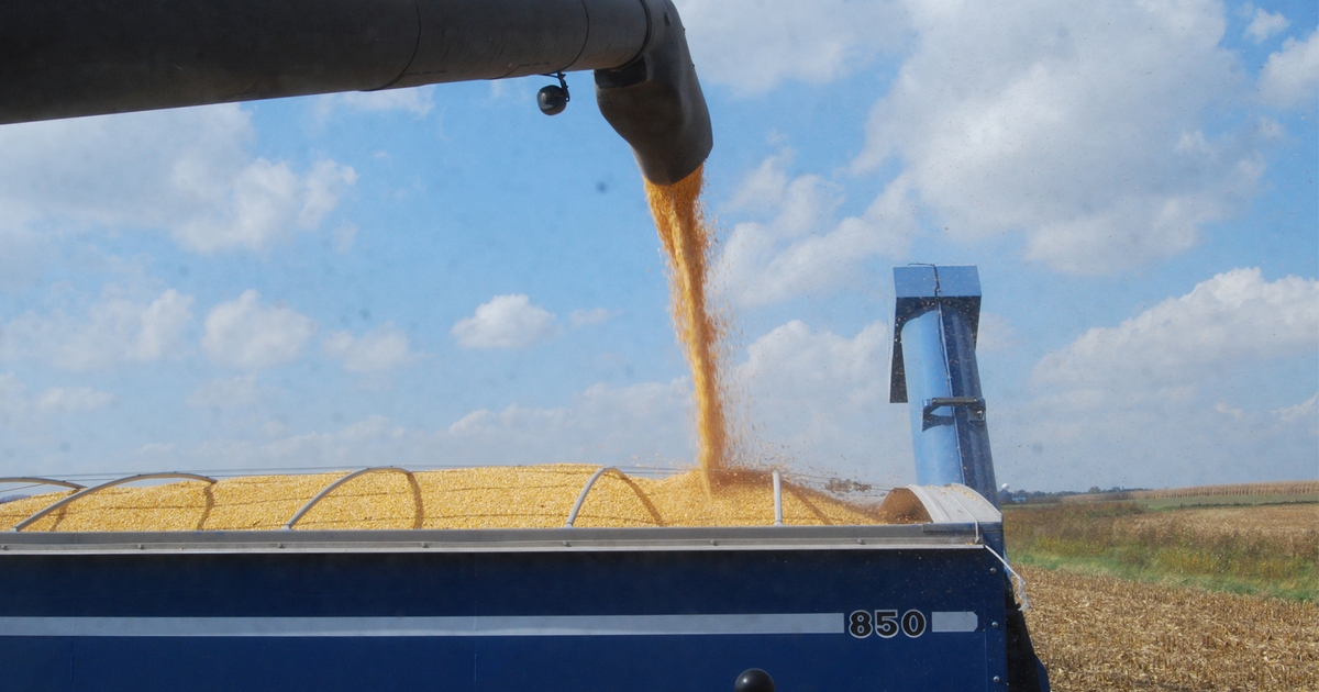 Understand basis contracts for grain marketing