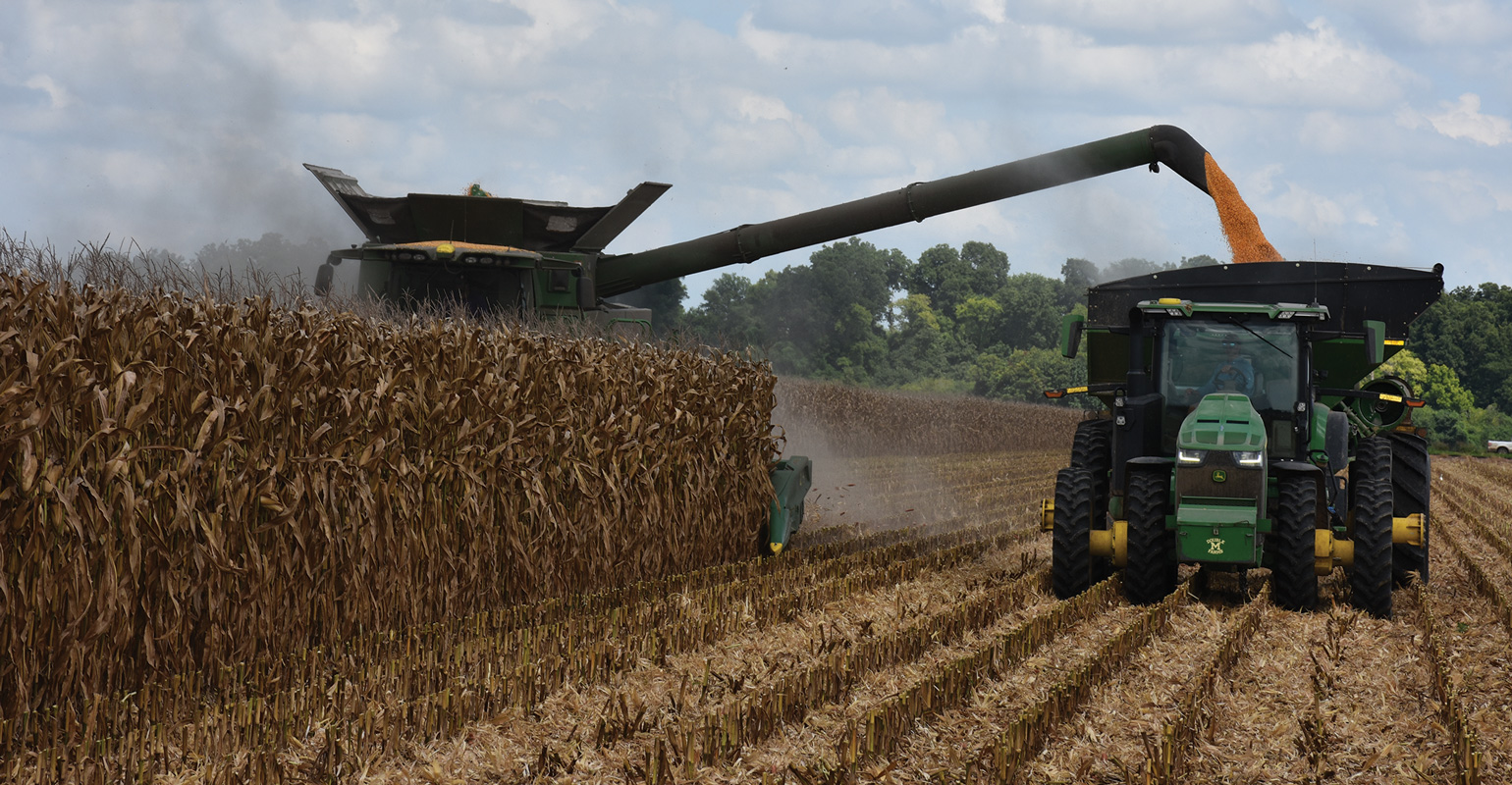 Dustin Morris: Variety is key to successful corn crop