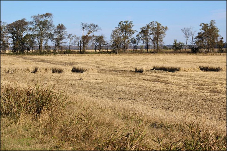 WRICE incentivizes landowners, provides public hunting opportunities