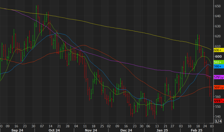 Farm Futures morning market commentary